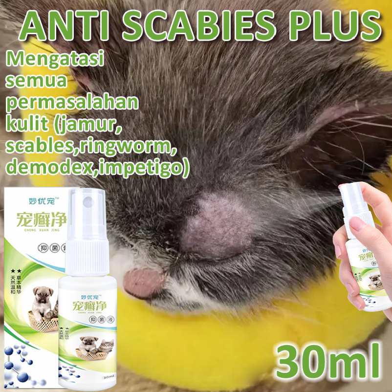 Jual 30ML Obat Jamur Kucing Scabies Demodex Impetigo Jamur Kutu Parasit ...