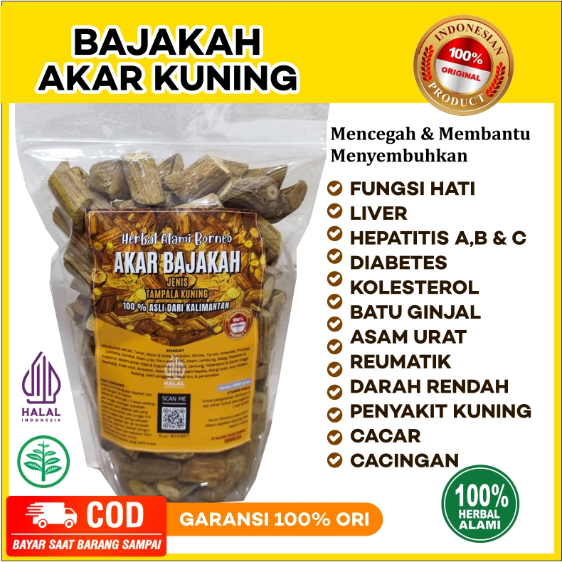 Jual Akar Bajakah KUNING Asli Kalimantan 100% Original dari Seribu ...