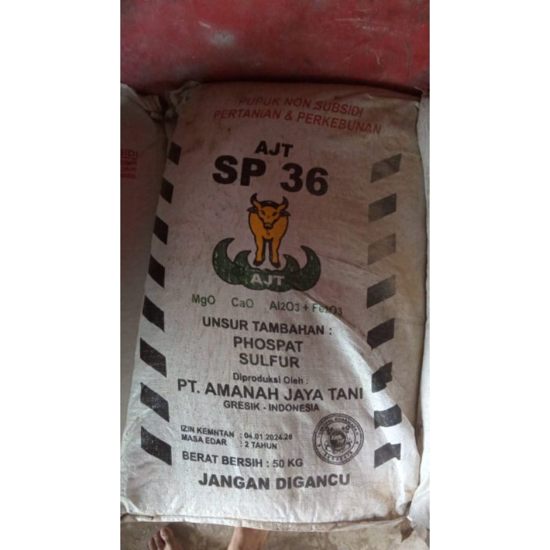 Jual Pupuk TSP sp 36 50kg | Shopee Indonesia