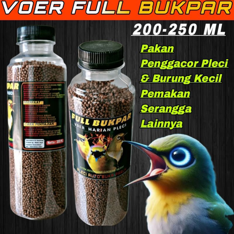Jual PAKAN HARIAN PLECI VOER FULL BUKPAR 200-250ML ciblek tledekan dll ...