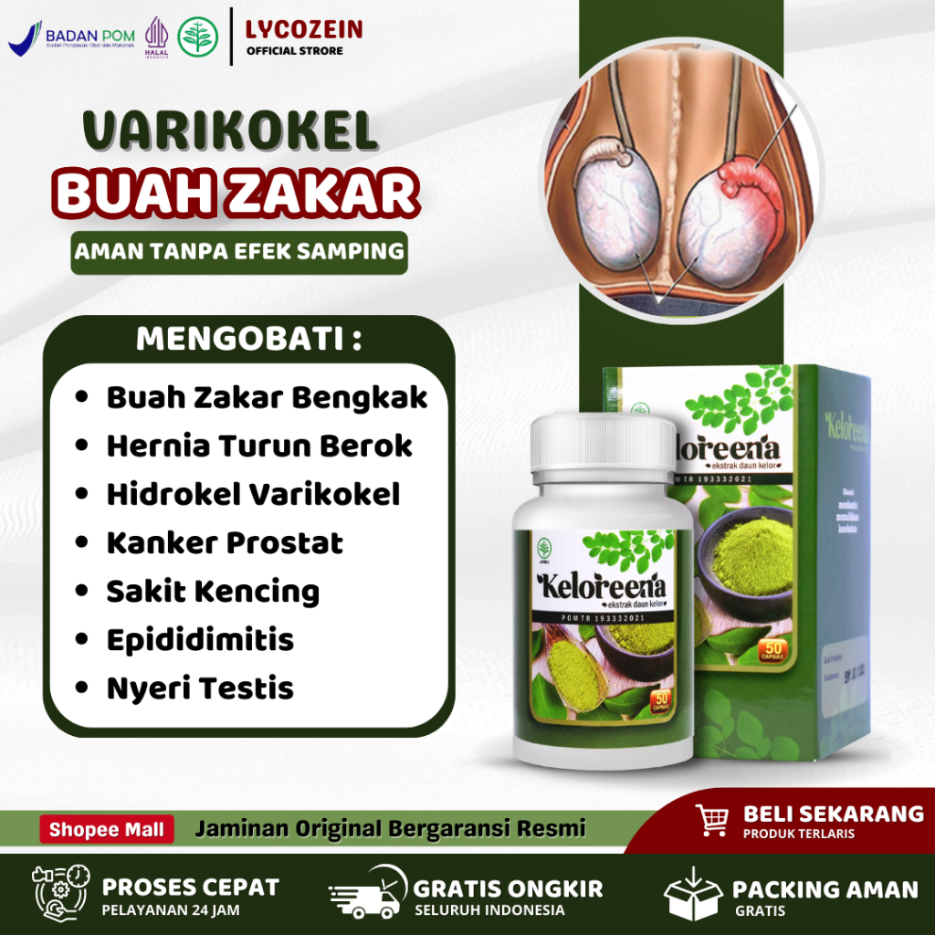 Jual Obat Varikokel Hidrokel Buah Zakar Bengkak Sebelah Orchitis ...