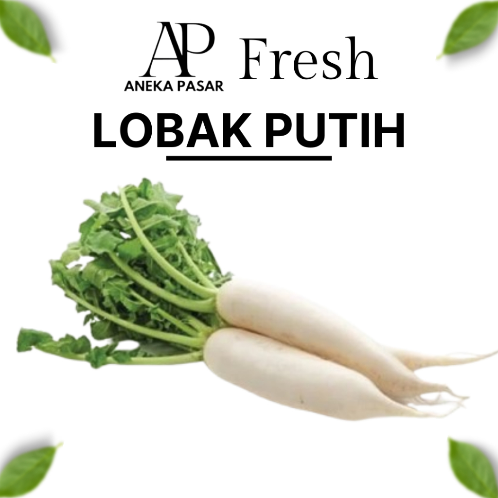 Jual LOBAK PUTIH - Berat 500gram Sayuran Segar Surabaya | Shopee Indonesia