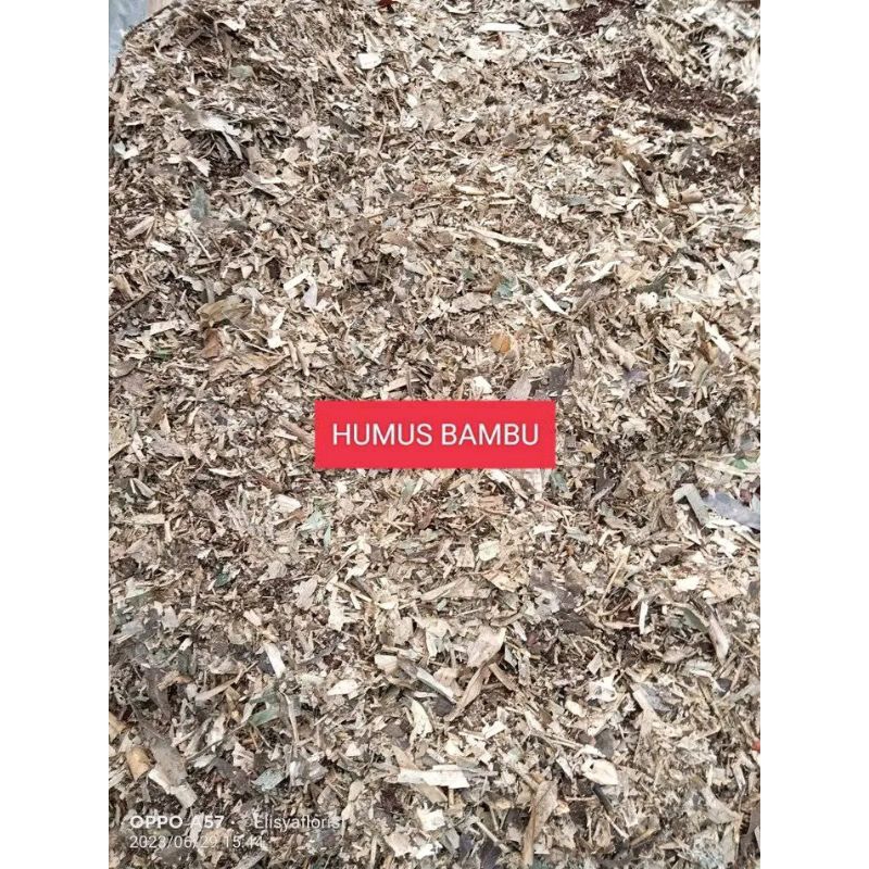 Jual media humus bambu murni-daun bambu busuk/satu karung ukuran karung ...