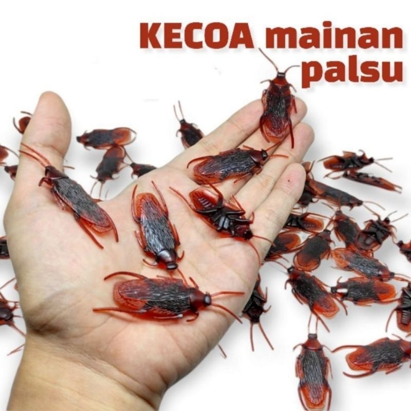 Jual Kecoa Palsu Mainan Kucing Kecoa Prank Lipan Lipas Kalajengking ...