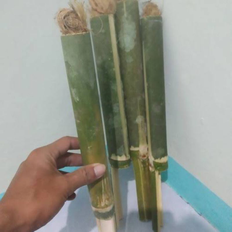 Jual JUAL /Obor Bambu Lengkap Dengan Serabut Kelapa panjang 25cm ...