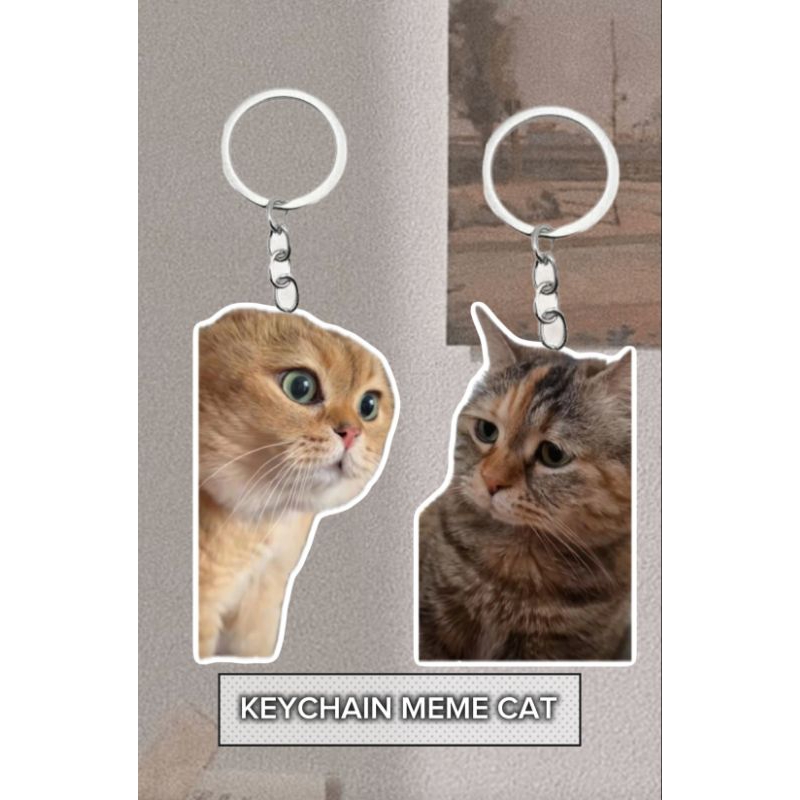 Jual PRE ORDER GANTUNGAN KUNCI MEME KUCING MARAH | Shopee Indonesia