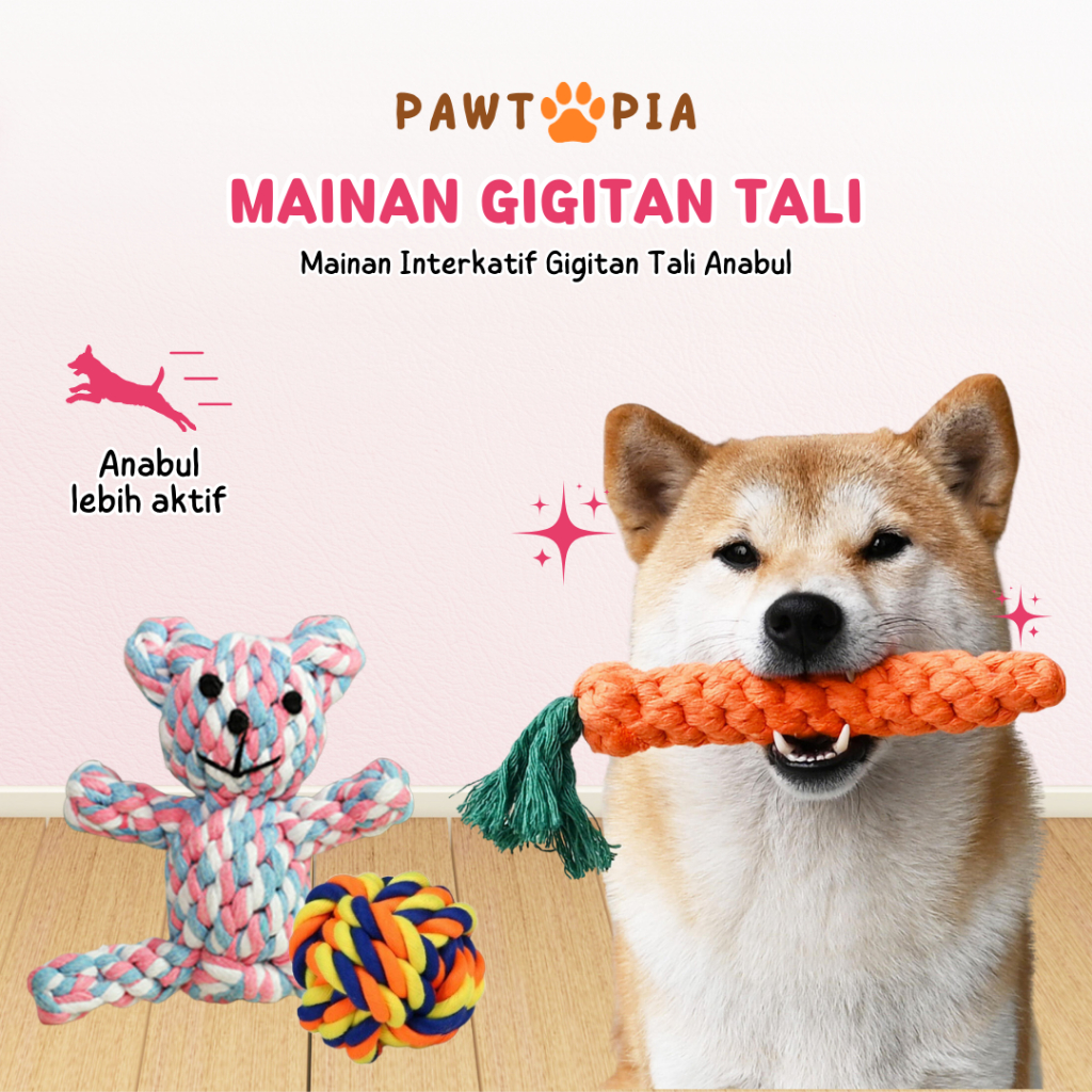 Jual Pawsential Mainan Tali Gigitan Katun Anjing 2 in 1 Chew Rubber ...
