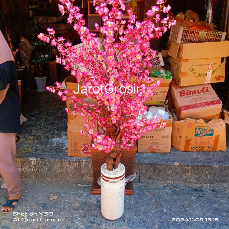Jual SAKURA VAS TRAKOTA TINGGI 1,5METER // SAKURA IMLEK // BUNGA SAKURA ...