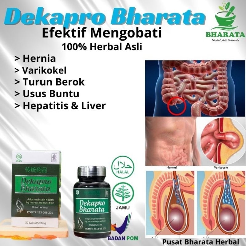 Jual Obat Hernia Obat Turun Bero Dekapro Bharata | Shopee Indonesia