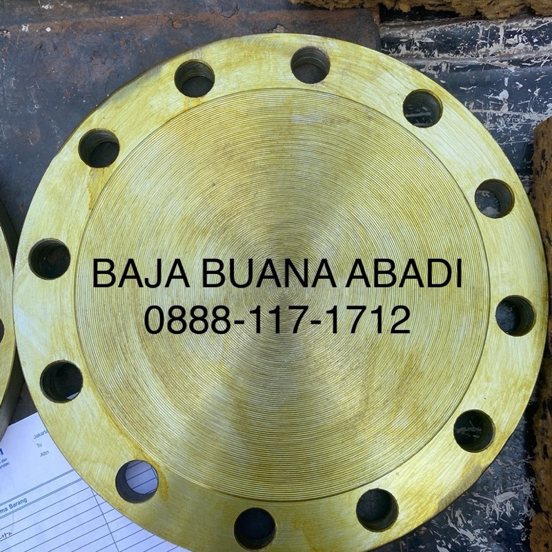 Jual FLANGE BESI BUTA JIS10K 12” STANDARD - FLANGE CARBONSTEEL BLIND ...