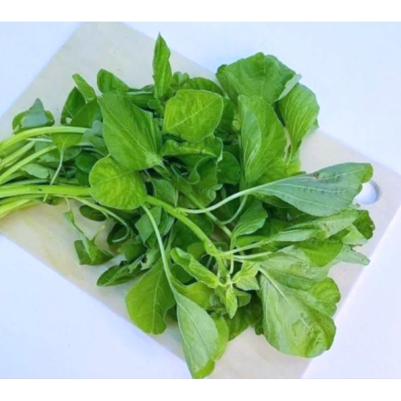 Jual Bayam | Shopee Indonesia