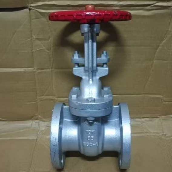 Jual Gate Valve Cast Iron KITZ 2" Inch Flange Fcd-s Steam Jis 10k DN50 | Shopee Indonesia