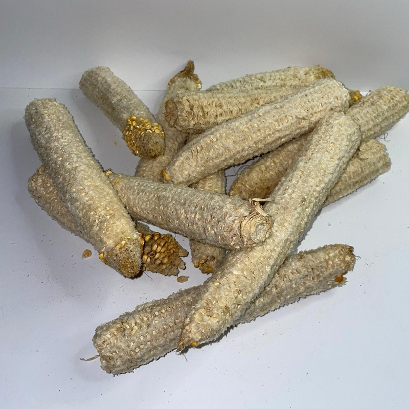 Jual bonggol jagung,tongkol jagung,batang jagung/1kg 25-30 batang ...