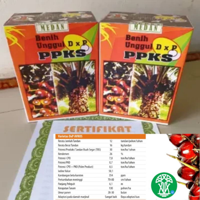 Jual JENIS DXP PPKS AVROS ISI 250 BUTIR | Shopee Indonesia