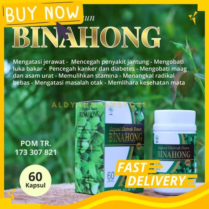 Jual KAPSUL DAUN BINAHONG ORIGINAL KAPSUL DAUN BINAHONG ASLI 100% | Shopee Indonesia