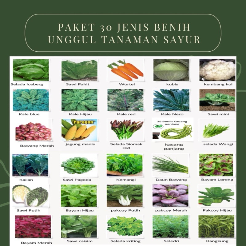 Jual Paket 30 Jenis Benih Unggul Tanaman Sayuran Benih F1 | Shopee ...