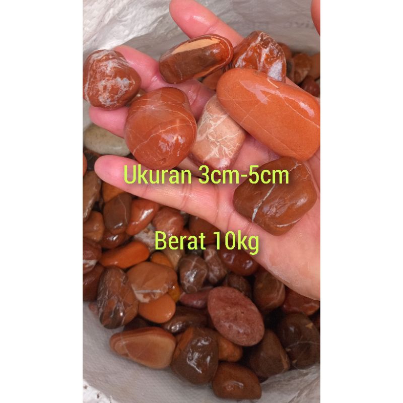 Jual Batu koral merah hati 10kg/Batu koral merah karungan/Batu taman/Batu hias/Batu aquariuim ...