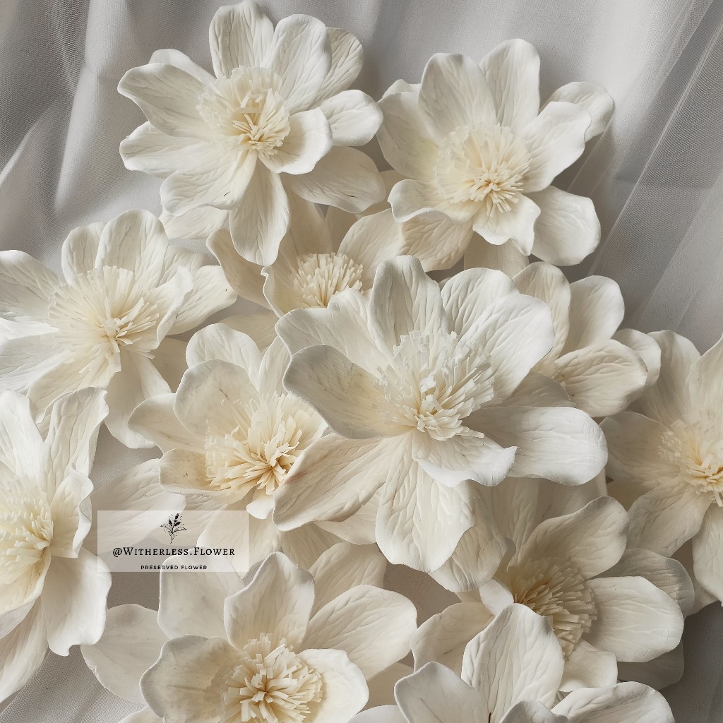 Jual Bunga Sola Wood Flowers 16 CM / Bunga Kayu Jumbo | Shopee Indonesia