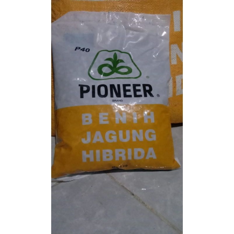 Jual benih jagung Pioneer p40 1kg | Shopee Indonesia