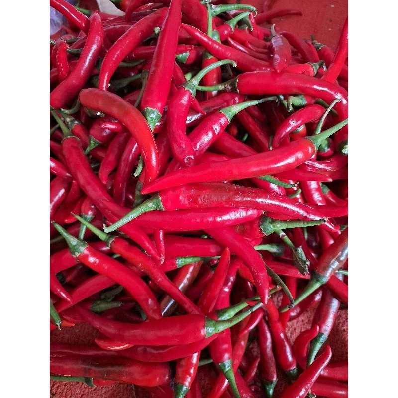 Jual CABE MERAH BESAR TW 1 KILO | Shopee Indonesia