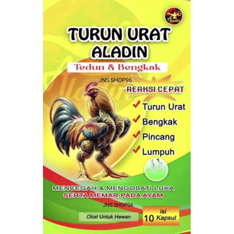 Jual TURUN URAT ALADIN OBAT TEDUN TURUN URAT BENGKAK PINCANG LUMPUH ...