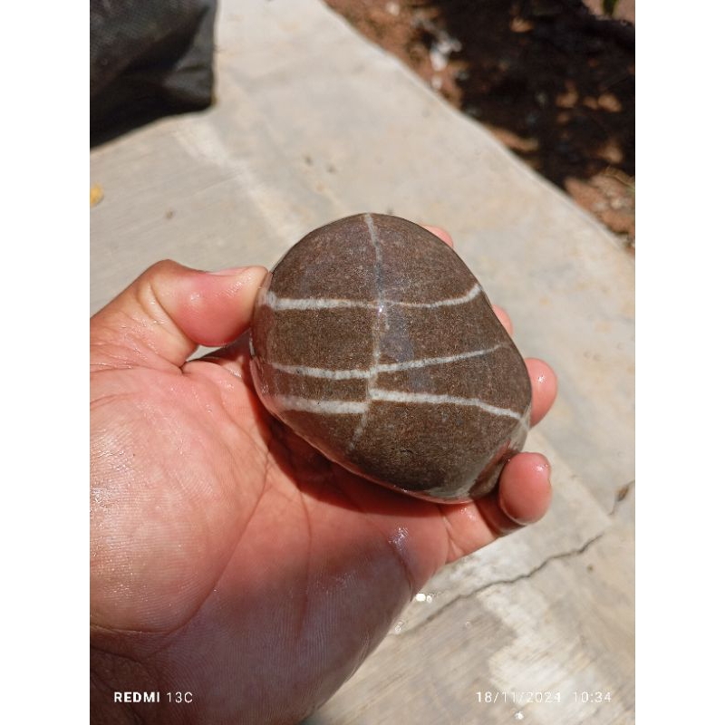 Jual Rough batu tapak jalak 438gr | Shopee Indonesia