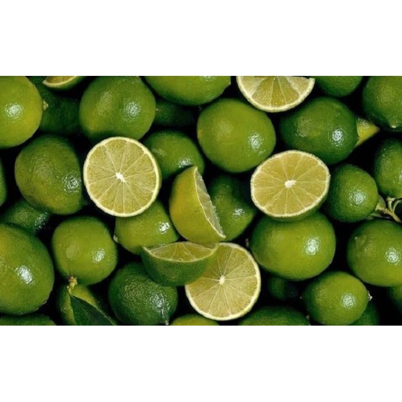 Jual JERUK NIPIS KEMASAN 1 KG | Shopee Indonesia