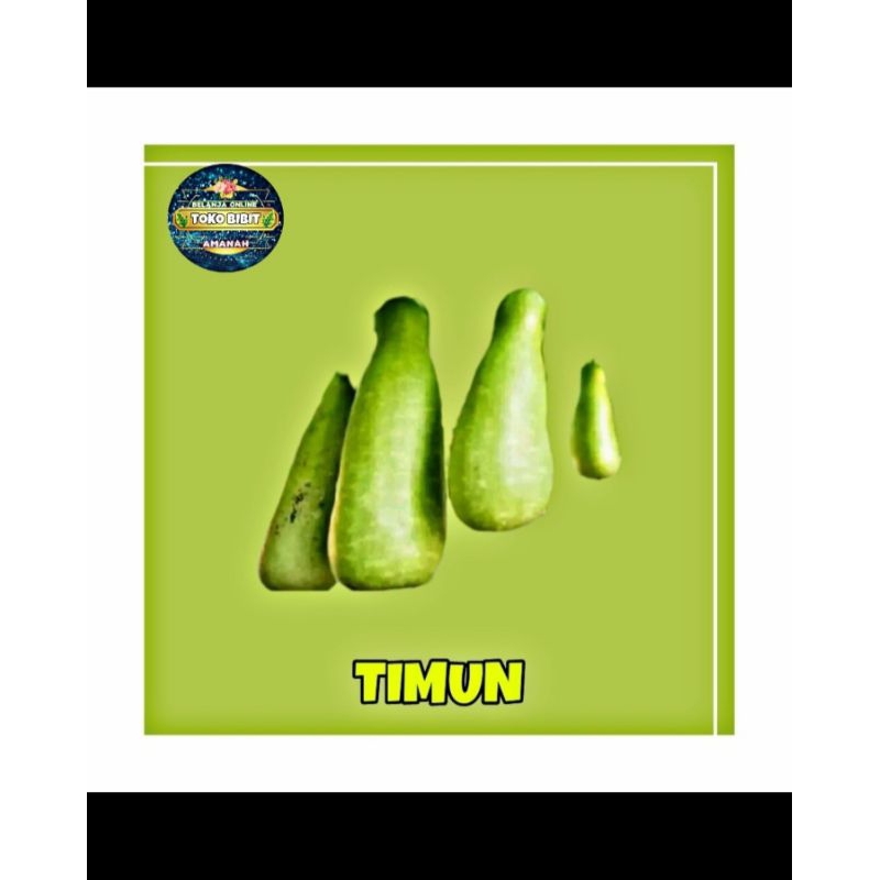 Jual benih labu putih panjang II | Shopee Indonesia