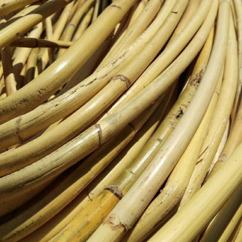 Jual Stik Rotan Kulit 12-13Mm Panjang 5 Meter Harga 1 Batang Beli 5 ...