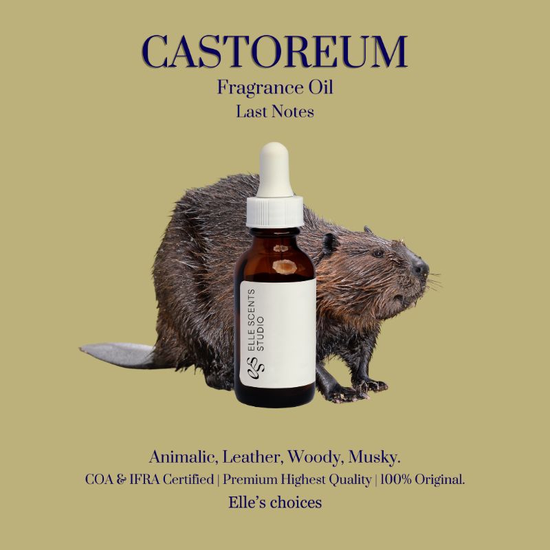 Jual CASTOREUM Fragrance Oil | Shopee Indonesia