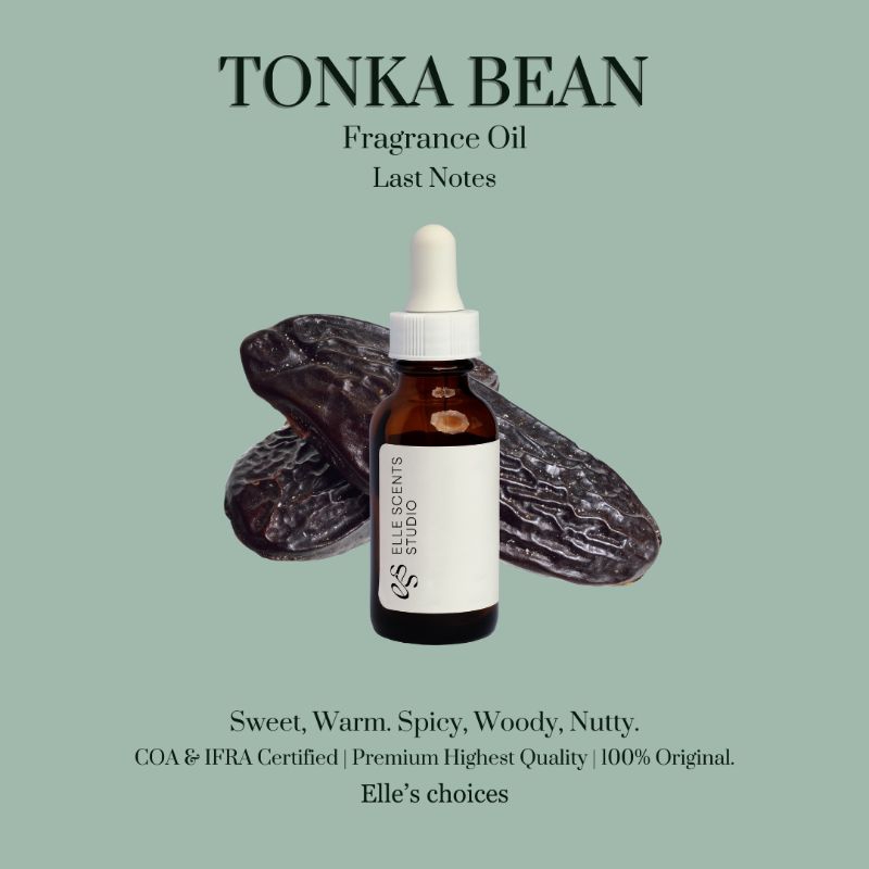 Jual TONKA BEAN Fragrance Oil | Shopee Indonesia