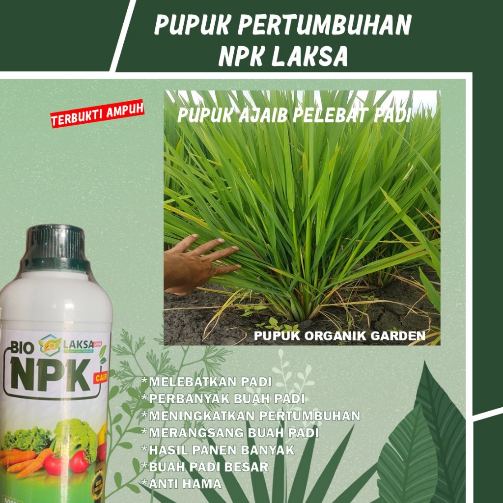 Jual Pupuk Semprot Penyubur Tanaman Anakan Padi BIO NPK LAKSA 500 ML Pupuk Organik Agar Bulir ...