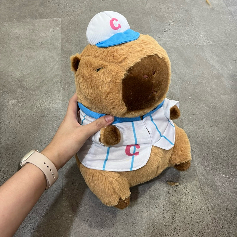 Jual BONEKA CAPYBARA 12INCH PREMIUM QUALITY / CAPYBARA PLUSH DOLL ...