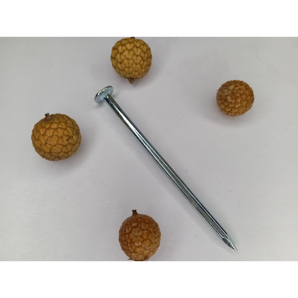 Jual Paku Kapal Nail 2000 / Paku Kapal 4” ( Per KG ) | Shopee Indonesia