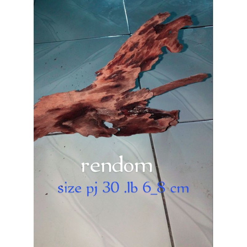 Jual kayu rentek mala posil ber kualitas aquasqep ber variasi ukuran ...