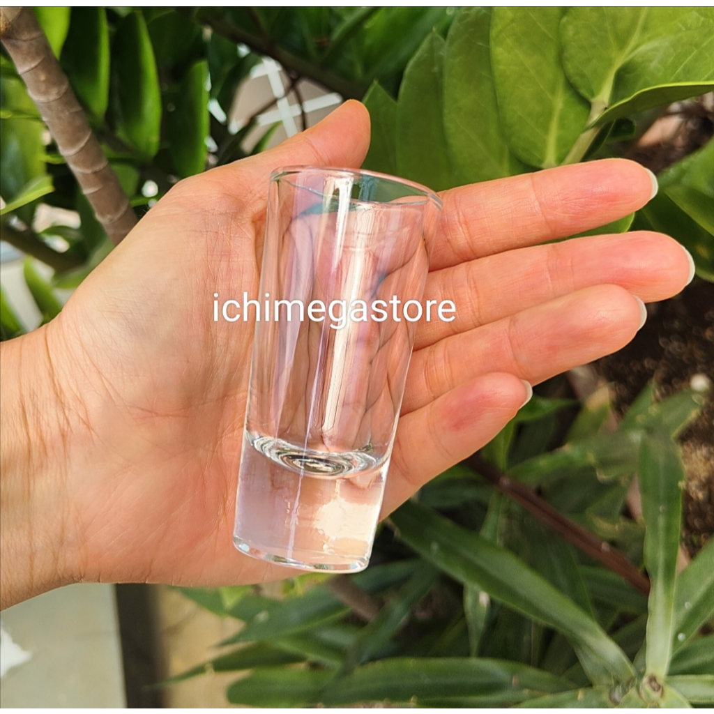 Jual ICHIMEGASTORE Gelas Sloki Kaca Shot Glass Gelas Cocktail Dessert ...