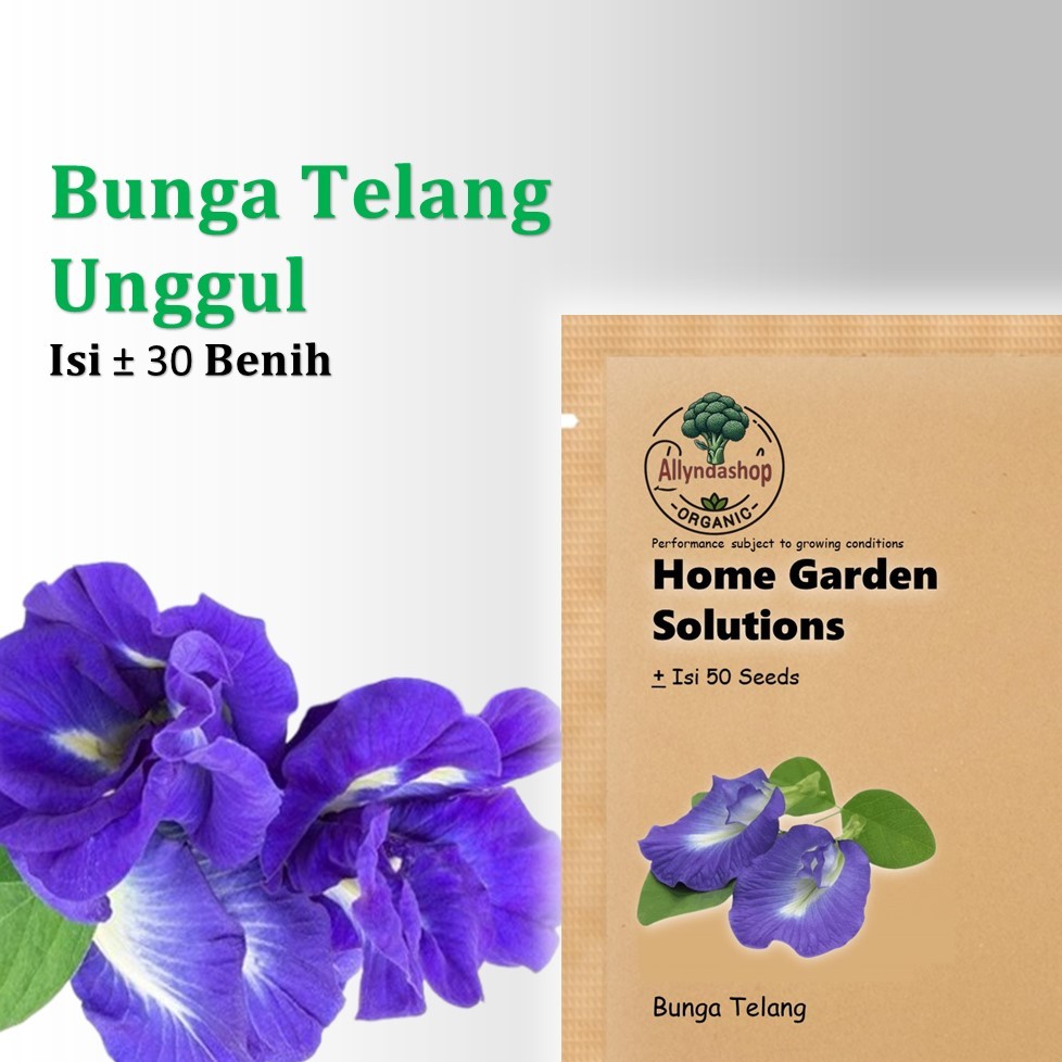 Jual 50 Bibit Benih Bunga Telang Unggul | Shopee Indonesia