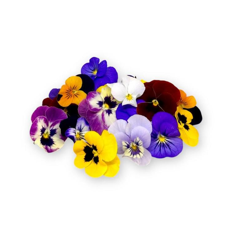 Jual EDIBLE FLOWER MIX Viola 30 pcs – Fresh Edible Flower – Bunga dapat ...