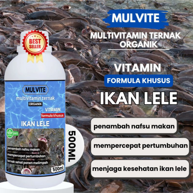 Jual MULVITE multivitamin ternak IKAN LELE, VITAMIN Ikan Lele Agara Cepat Besar 100 Ml Probiotik ...