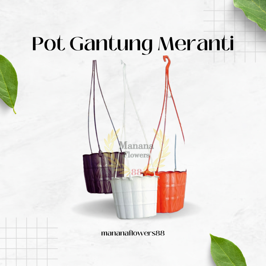 Jual POT GANTUNG WARNA 20 GOSEND/ POT GANTUNG MERANTI/ POT BUNGA/ POT ...