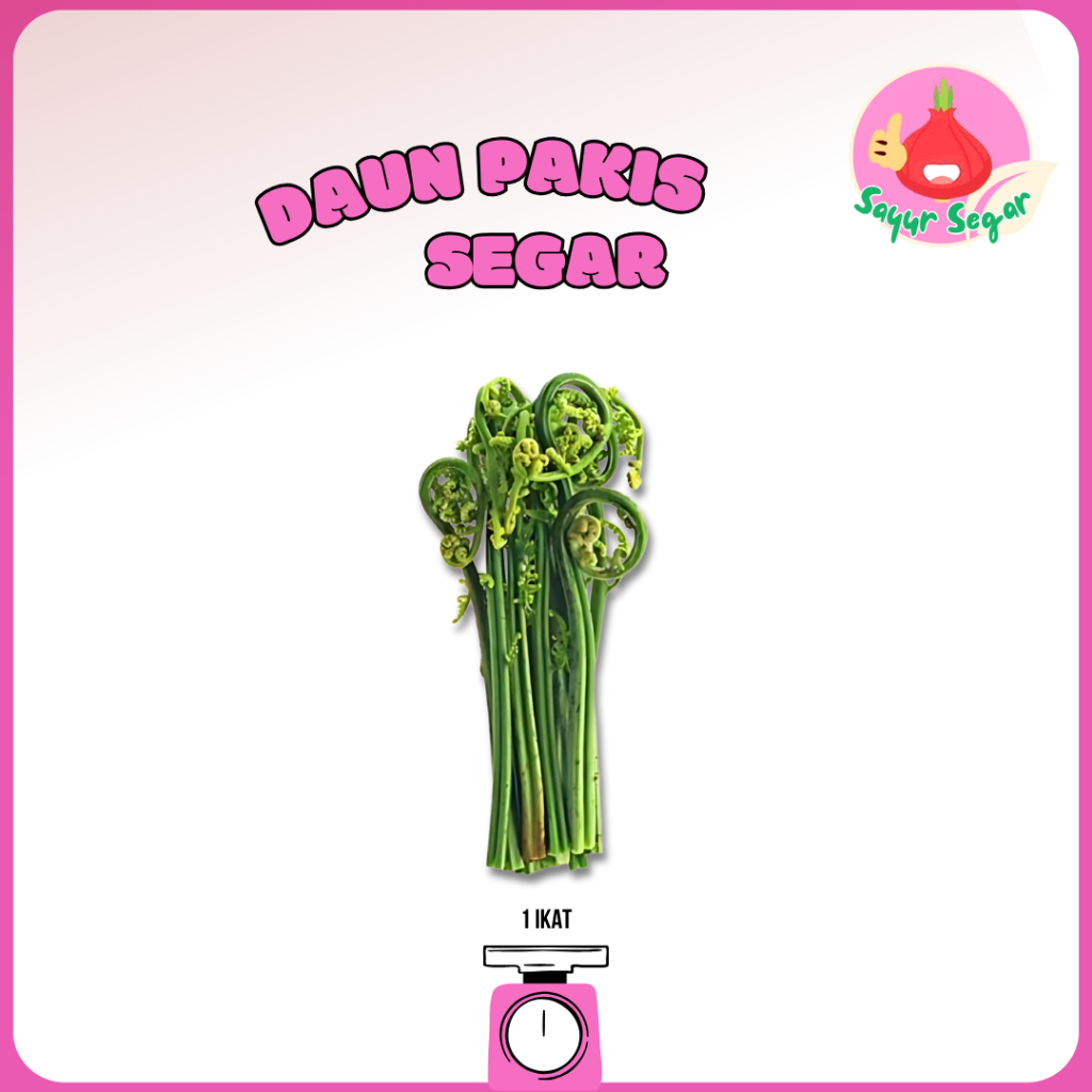 Jual Sayur Segar - Daun Pakis Segar/Fern Leaves 1 Ikat | Shopee Indonesia