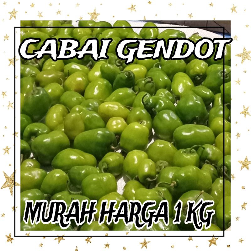 Jual CABE GENDOT 1 KG asli Dieng | Shopee Indonesia