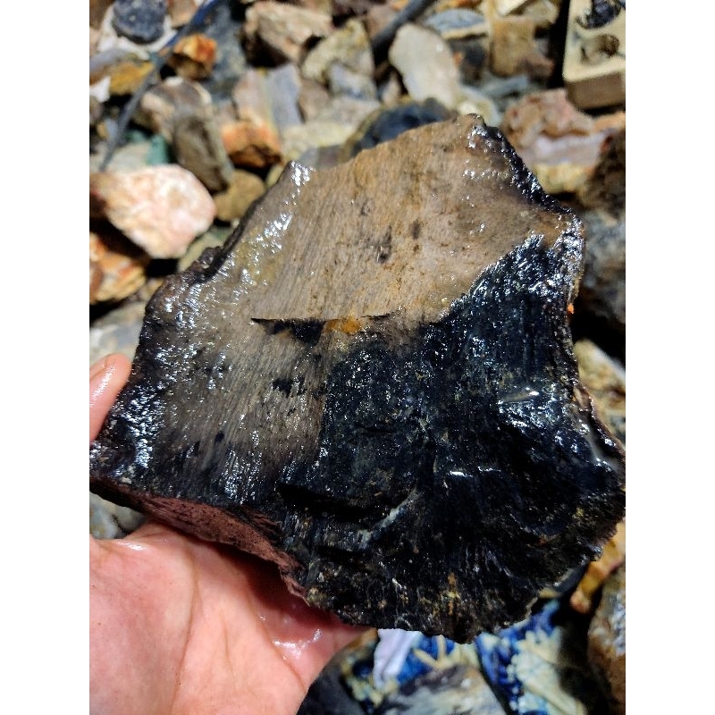 Jual BAHAN BATU AKIK GARUT POSIL KAYU BERAT 1,6 KG | Shopee Indonesia