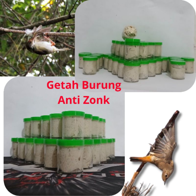 Jual Getah Burung Super Lengket Pulut Burung Anti zonk Getah Terap ...