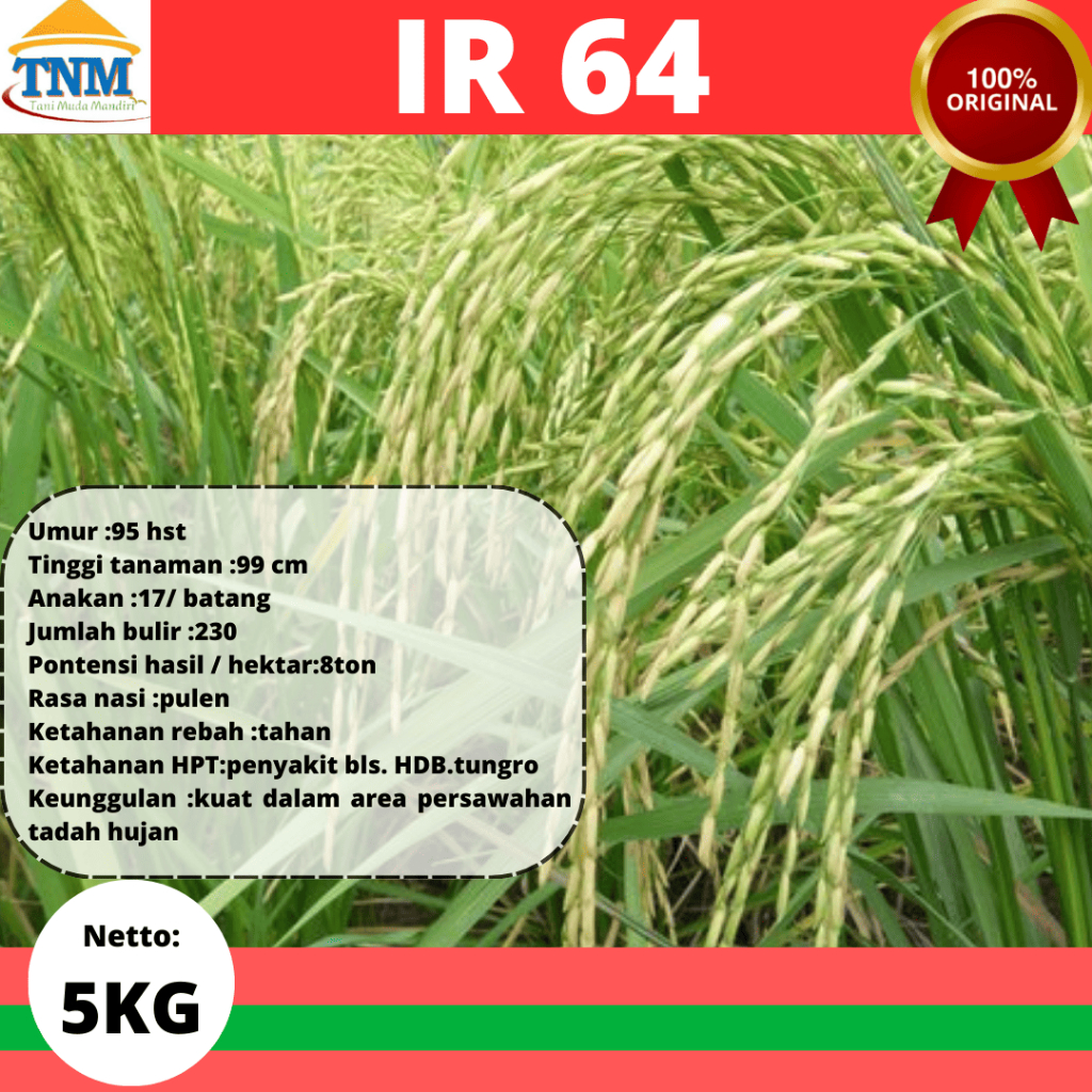 Jual Biji Padi Unggul IR 64/IR64 kemasan 5KG | Shopee Indonesia