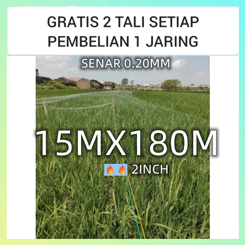 Jual Jaring burung, jaring padi sawah, jaring senar lubang 2 inci lebar ...