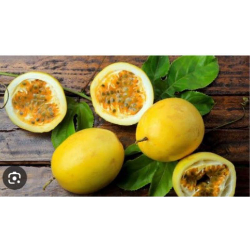 Jual buah markisa asam manis segar | Shopee Indonesia