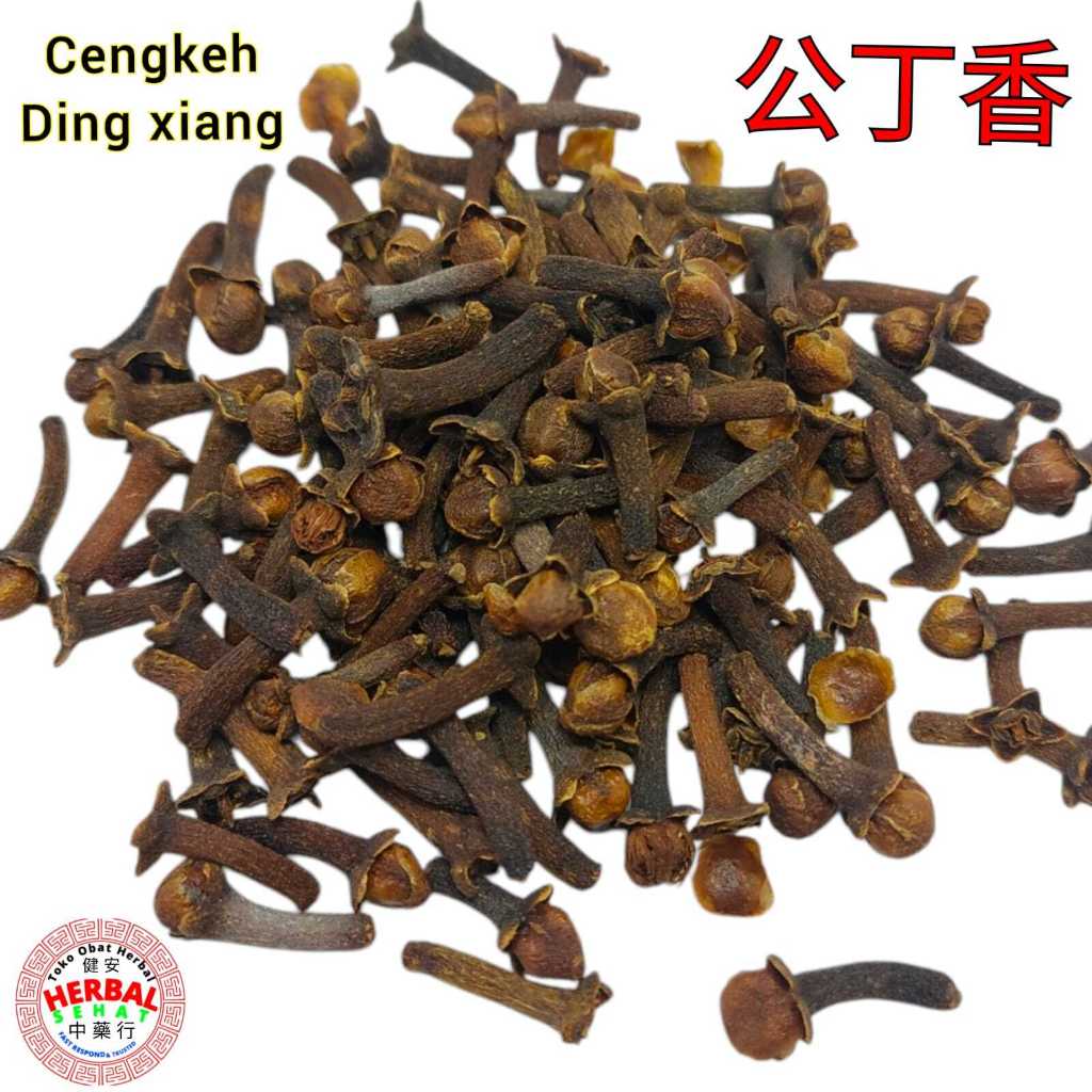 Jual Gong Ding Xiang 公丁香 Cengkeh - Dingxiang - Flos Caryophylli ...