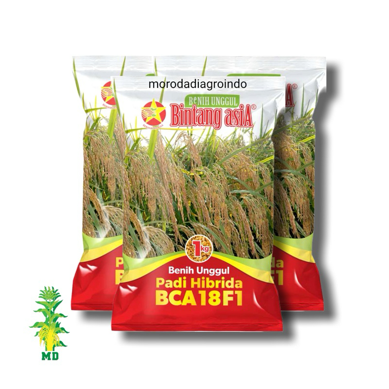 Jual Benih Padi Hibrida BCA 18 F1 Kemasan 1kg dari BCA (benih citra ...