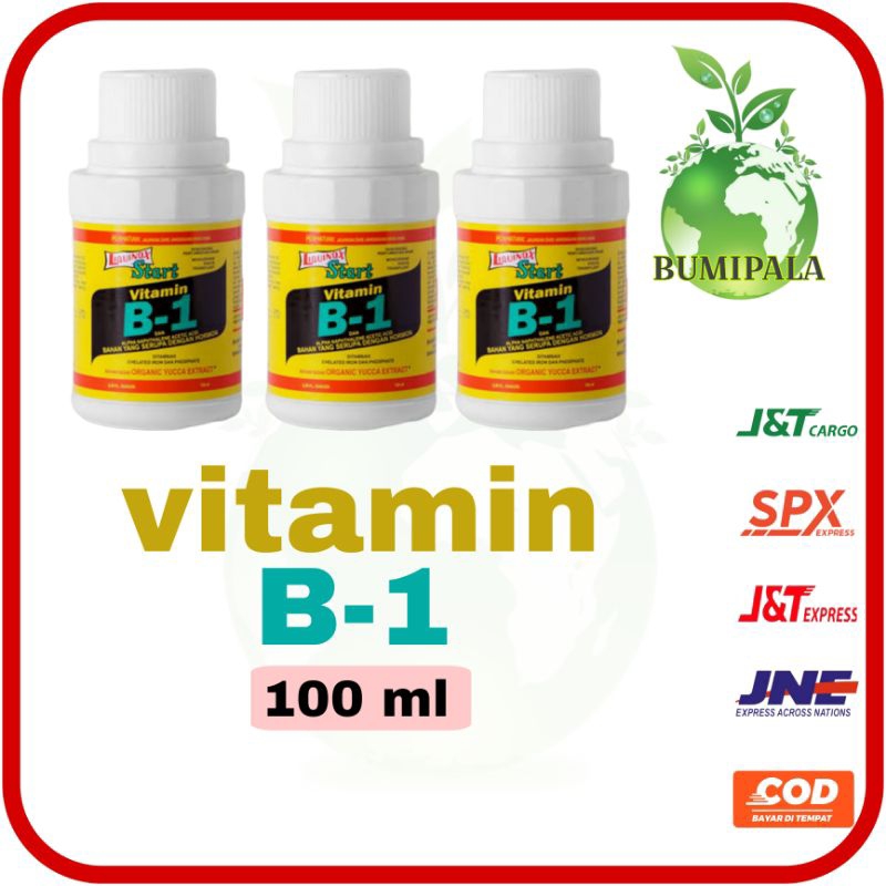Jual Vitamin B - 1 100 ml vitamin tanaman ( produk asli ) | Shopee ...